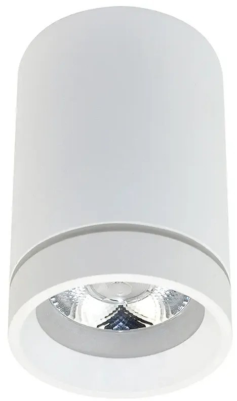 LED bodové světlo Bill bílé