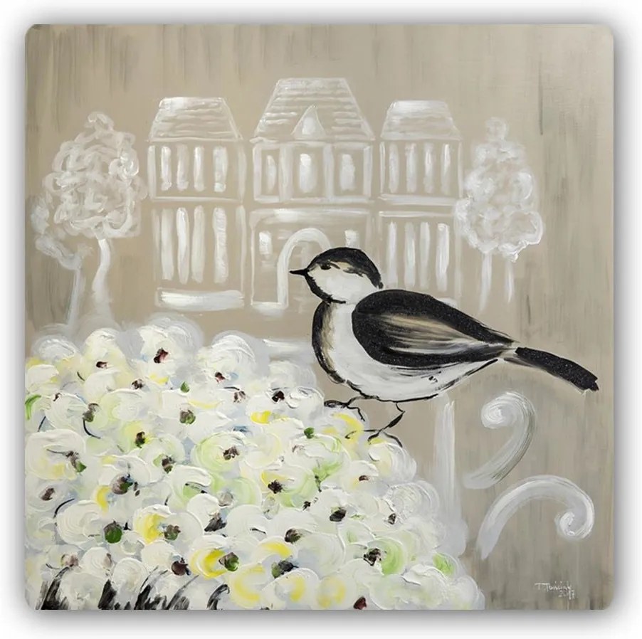 CARO Kovový obraz - Black Bird And White Flowers 50x50 cm