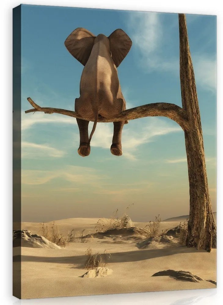 Postershop Obraz na plátně: Slon na stromě - 100x75 cm