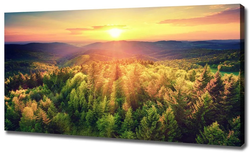 Wallmuralia Foto obraz na plátně Les západ slunce 120x60 cm