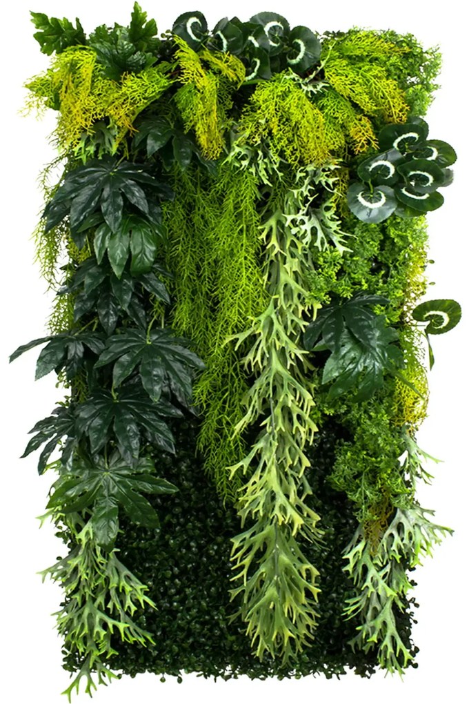 Vertical garden Waterfall Rock