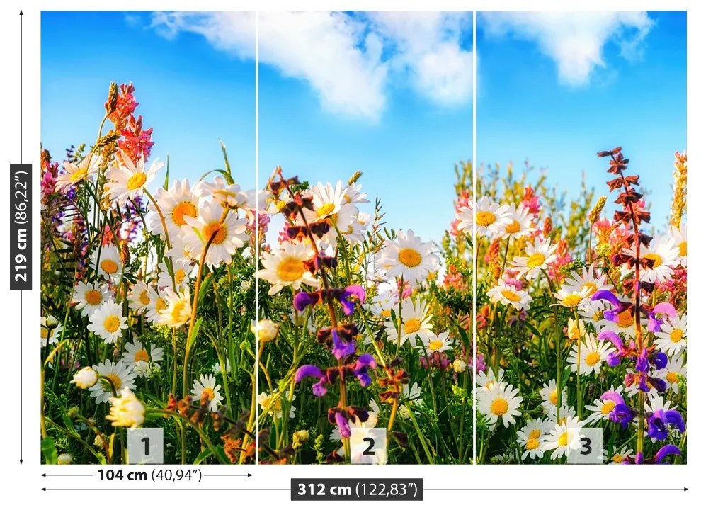 Fototapeta Jarní květiny 104x70
