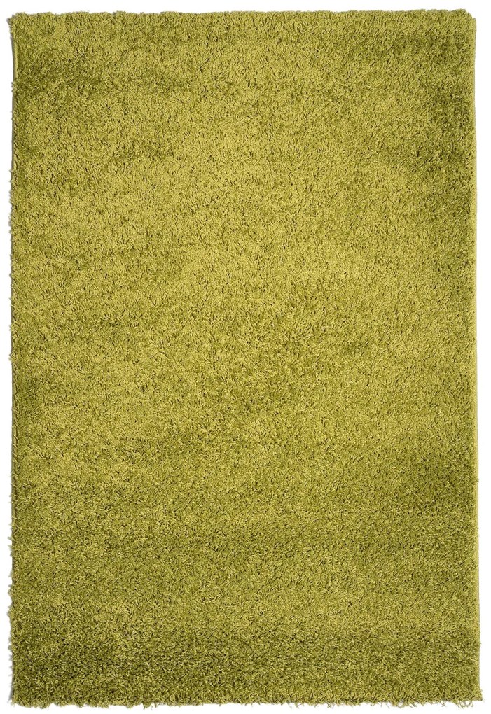 Mono Carpet, Kusový koberec Efor Shaggy 1903 Green, 80x150, zelená, ložnice