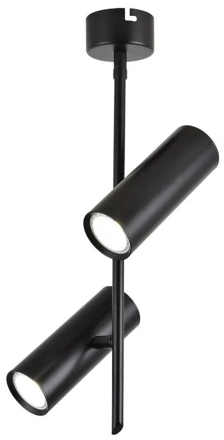 Candellux LED Bodové svítidlo TUBA 2xLED/10W/230V černá CA0365