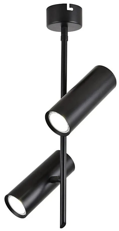 LED Bodové svítidlo TUBA 2xLED/10W/230V černá