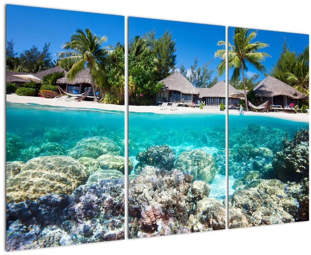 Obraz pláže na tropickém ostrově (120x80 cm), 40 dalších rozměrů