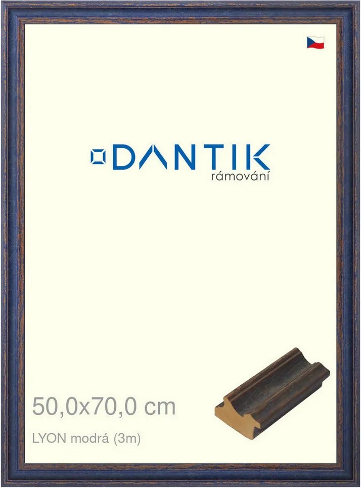 DANTIK rámeček 50x70 | LYON modrá (Plexi Čiré)