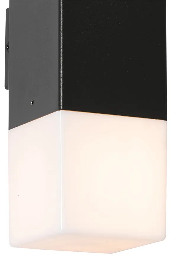 Venkovní nástěnné svítidlo černé s opálovým stínidlem 2-světlo IP44 - Dánsko