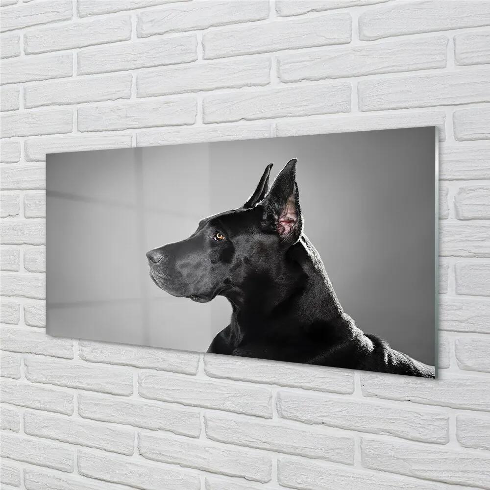 Obraz na skle Černý pes 125x50 cm