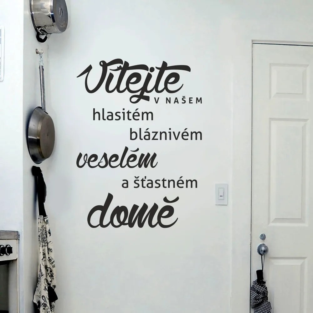 Samolepky na zeď - Vítejte v našem domě Barva: Mint, Velikost: 60x80 cm