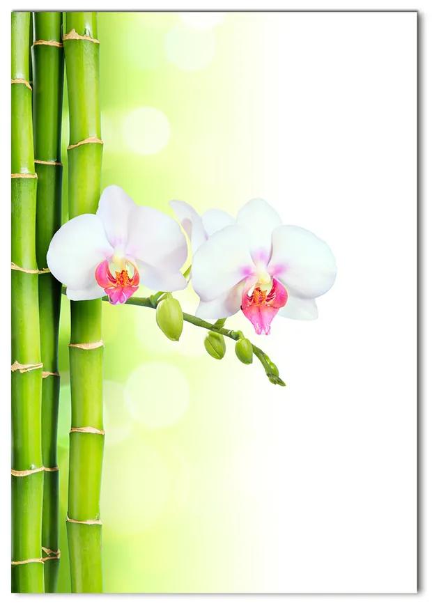 Wallmuralia Foto obraz akrylový Orchidej a bambus 70x100 cm