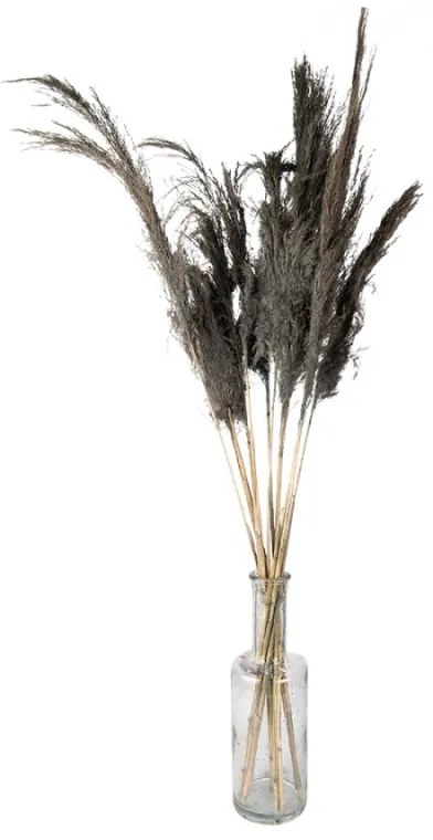 Šedá kytice sušené květy bambusu Bamboo – 100 cm