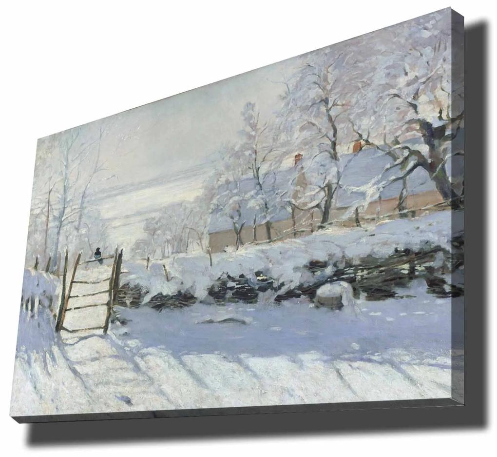 Wallexpert Dekorativní Malba na plátno 70100MONET014, Vícebarevná