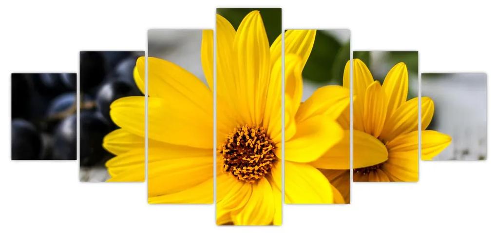 Obraz žlutých květů (210x100 cm)