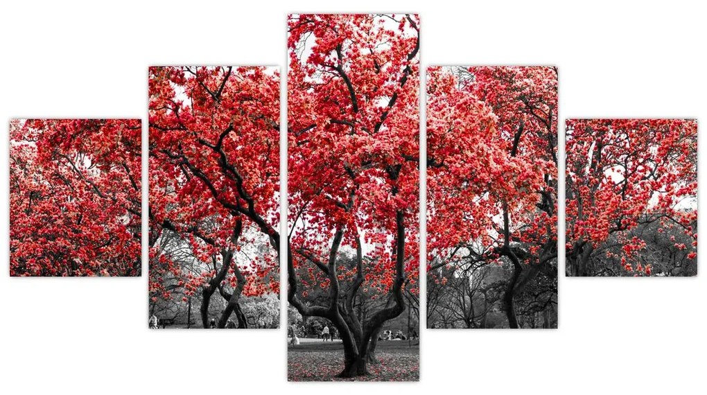 Obraz - Červené stromy, Central Park, New York (125x70 cm)