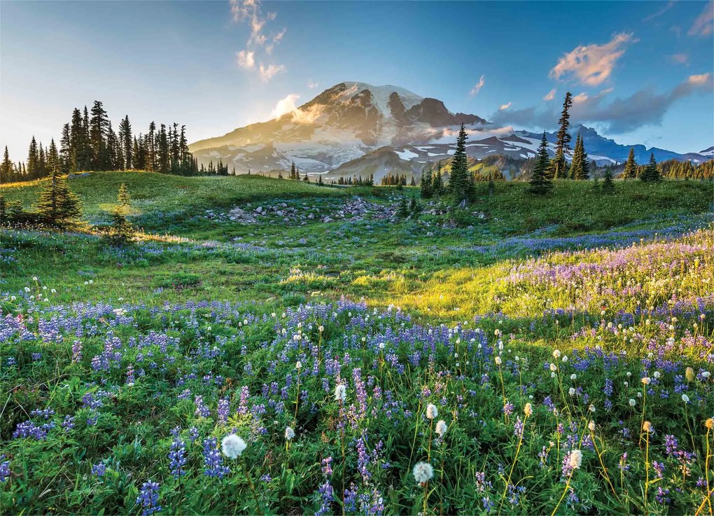 Malvis ® Tapeta Národní park Mount Rainier Vel. (šířka x výška): 216 x 140 cm