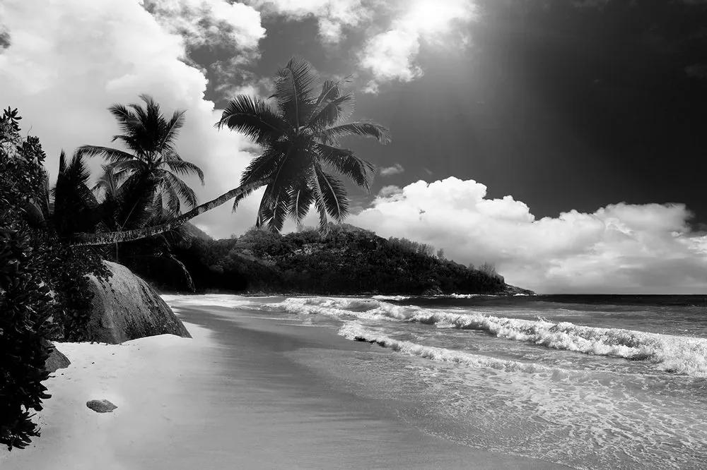 Samolepící fototapeta pláž na ostrově Seychely v černobílém - 450x300 cm