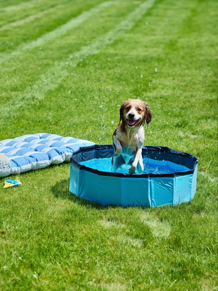 Sinsay - Bazén pro psa - vícebarevná