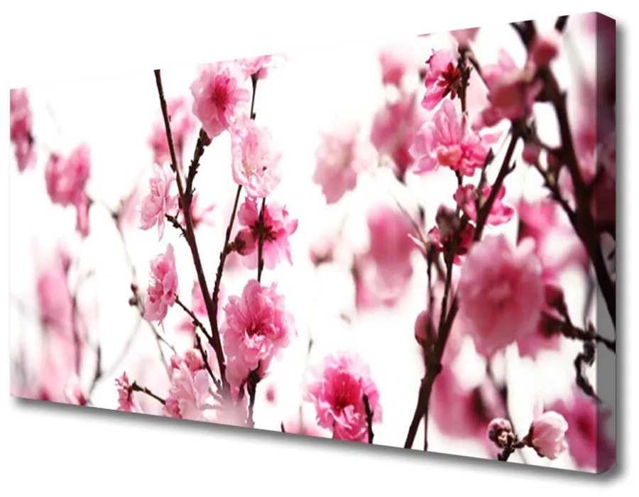 Obraz na plátně Větve Květiny Rostlina 100x50 cm