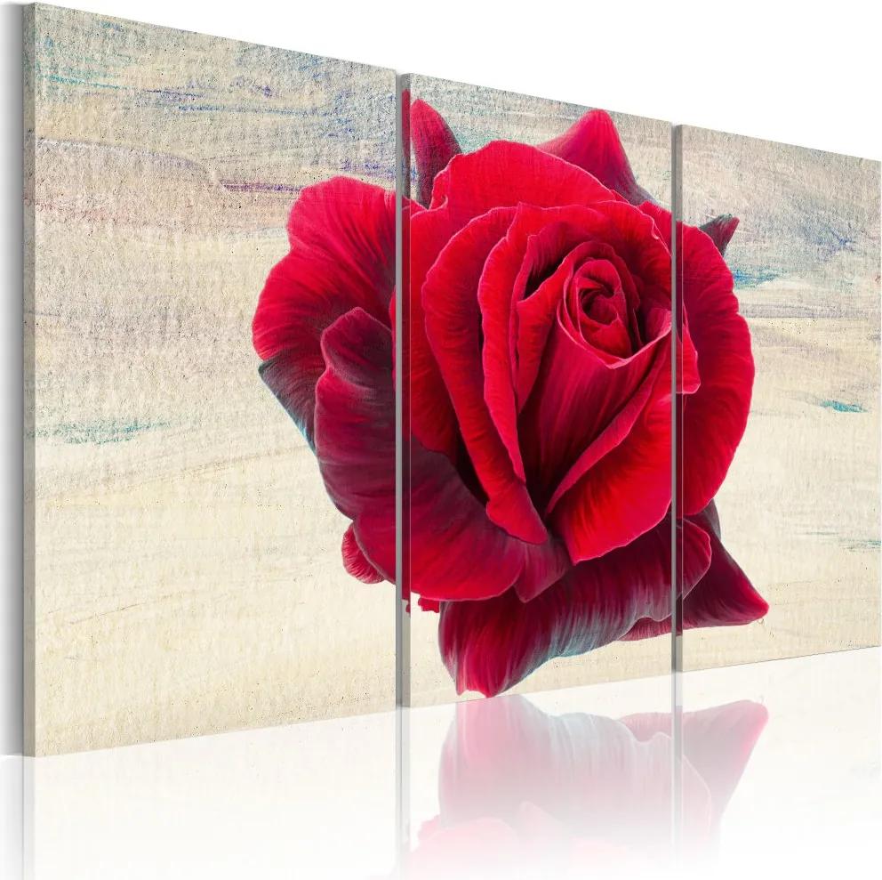 Obraz na plátně Bimago - Lyrical rose 60x40 cm