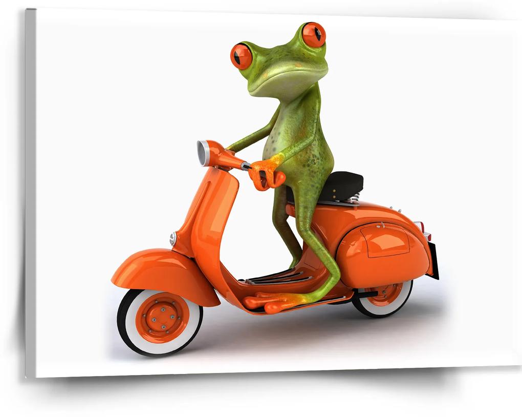 Obraz - Žába na motorce 150x110 cm