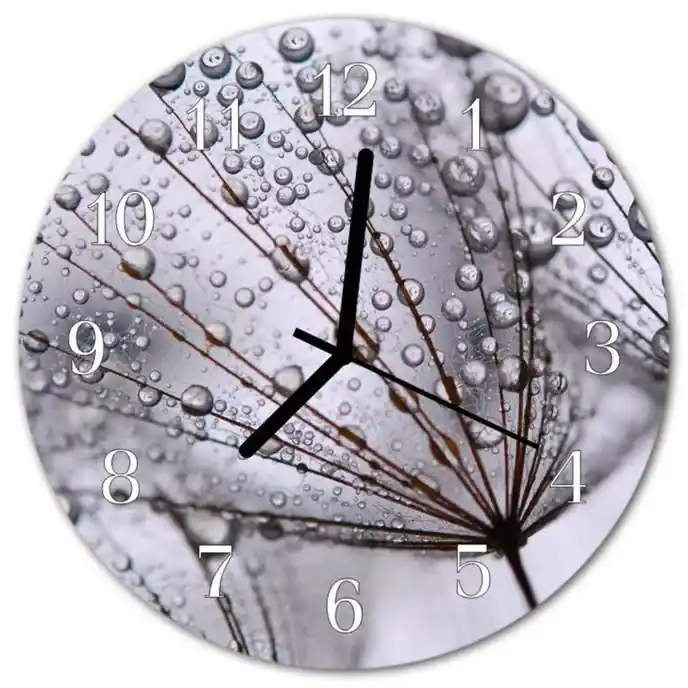 Nástěnné hodiny obrazové na skle - Pampeliška a rosa | Biano