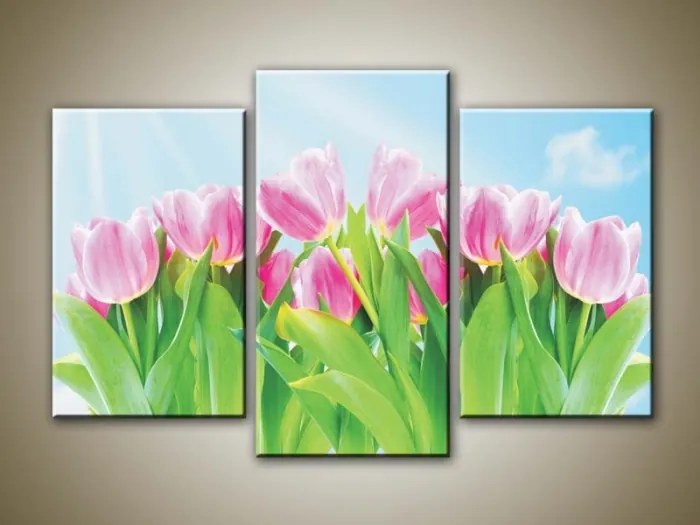Xdecor Pole tulipánů (75 x 50 cm) - Třídílný obraz