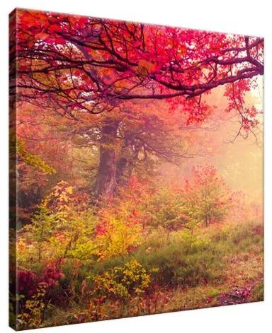 Tištěný obraz Podzimní příroda 30x30cm 2510A_1AI