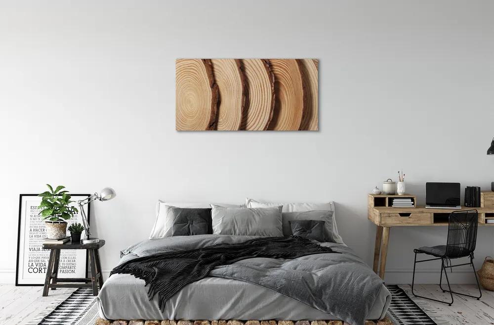 Obrazy na plátně plátky obilí dřeva 100x50 cm