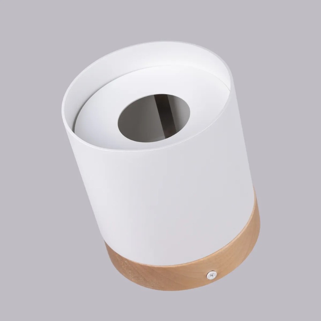 Sollux Lighting Stropní svítidlo RIF bílé