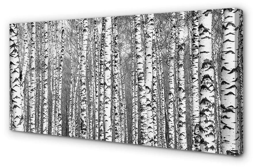 Obrazy na plátně Černá a bílá strom 140x70 cm