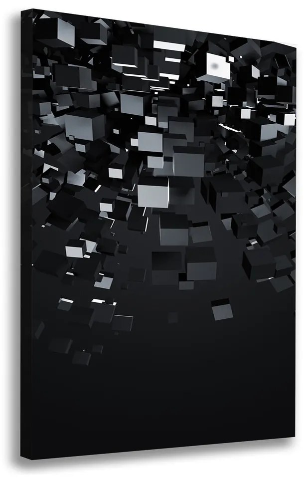 Wallmuralia Foto-obraz canvas na rámu Abstrakce 3D 70x100 cm