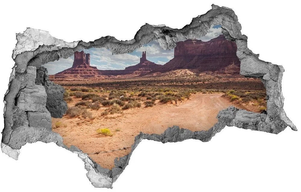 Wallmuralia Nálepka fototapeta 3D výhled Arizona USA 95x73 cm