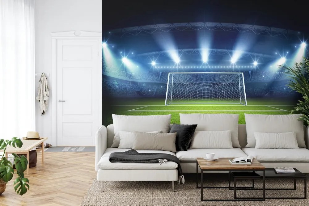 Fototapeta Gól Na Stadionu Omyvatelný vlies 90x60