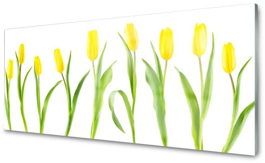 Plexisklo obraz Žluté Tulipány Květiny