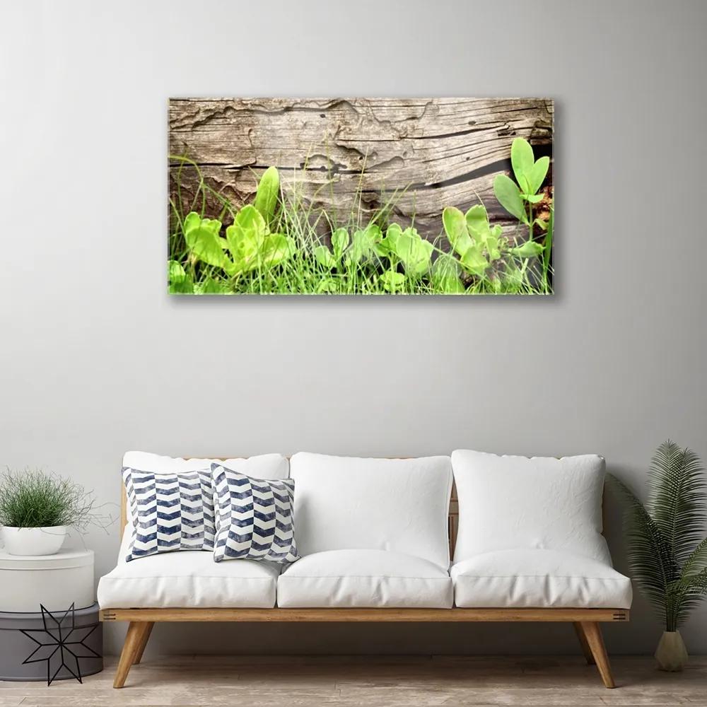 Plexisklo-obraz Tráva Listy Květiny 100x50 cm