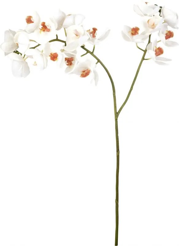 Snítka se dvěma trsy květů orchidejí FLORA bílá