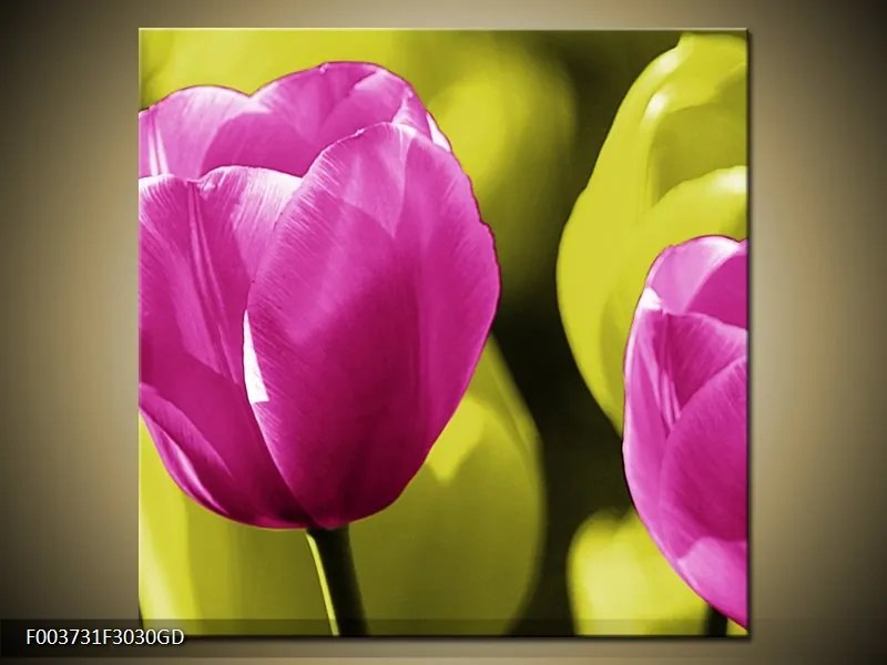 Obraz růžových květin se zelenými v pozadí  (), 40 dalších rozměrů