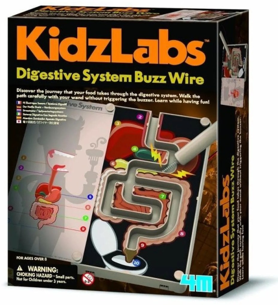 Kidzlabs trávící systém