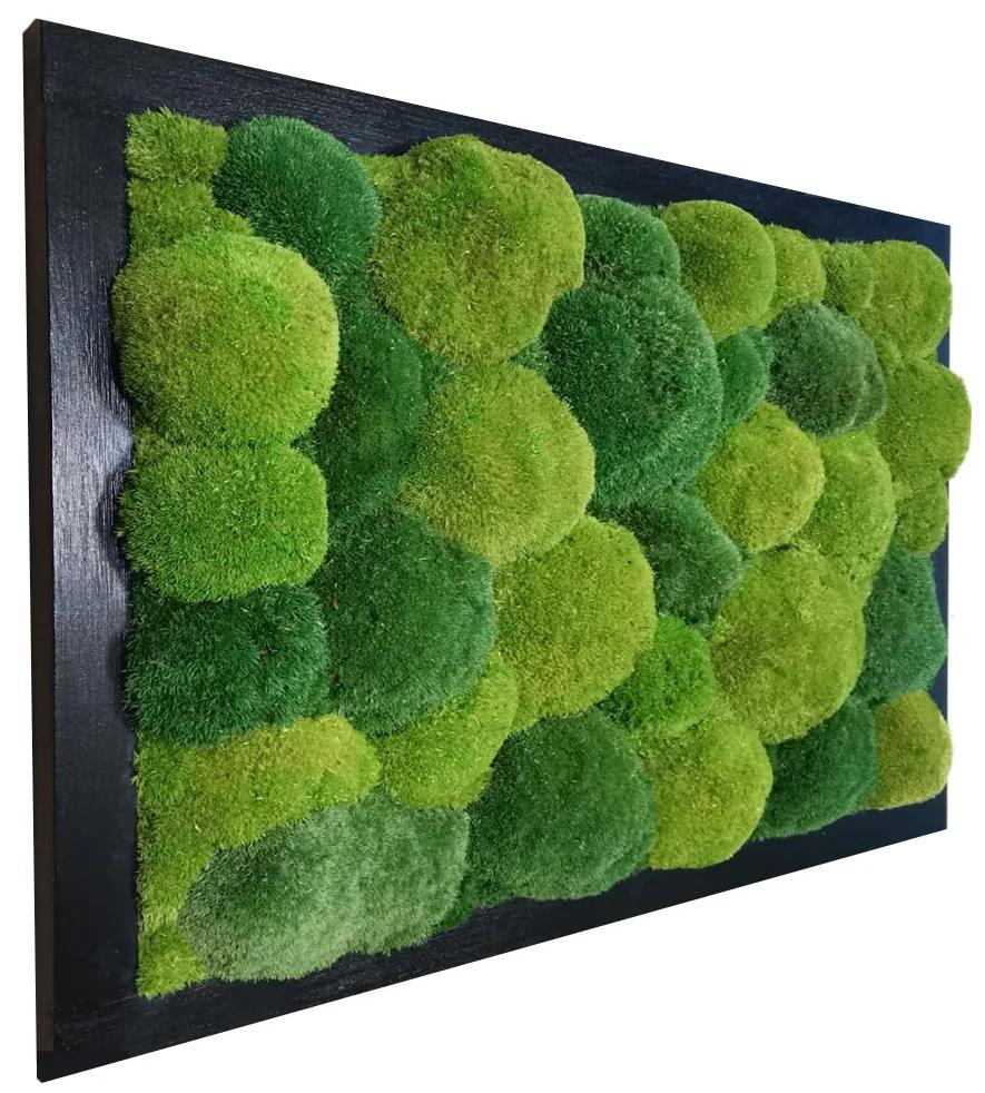 WOODILO Mechový obraz 207 | kopečkový mech | světle zelená premium + středně zelená Rozměr obrazu: 100x100 cm, Barva rámu: Rustikální (černá oprýskaná), Síla rámu (pohledová): 3,7 cm
