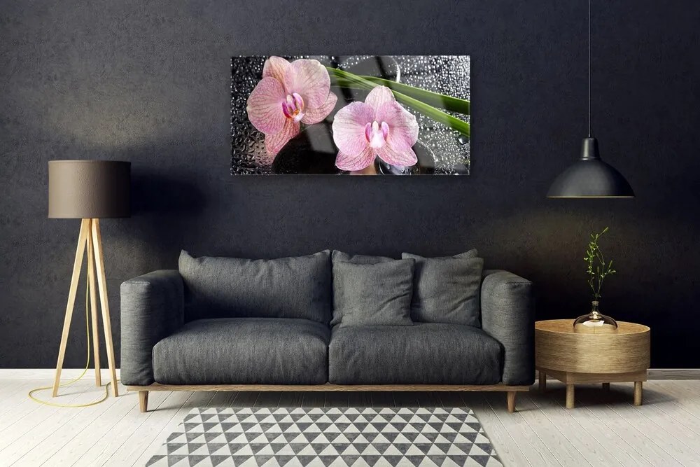 Plexisklo-obraz Květiny Orchidej Kameny Zen 100x50 cm