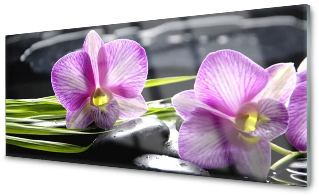 Plexisklo obraz Orchidej Kameny Zen Lázně