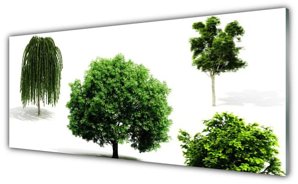 Plexisklo-obraz Stromy Příroda 125x50 cm