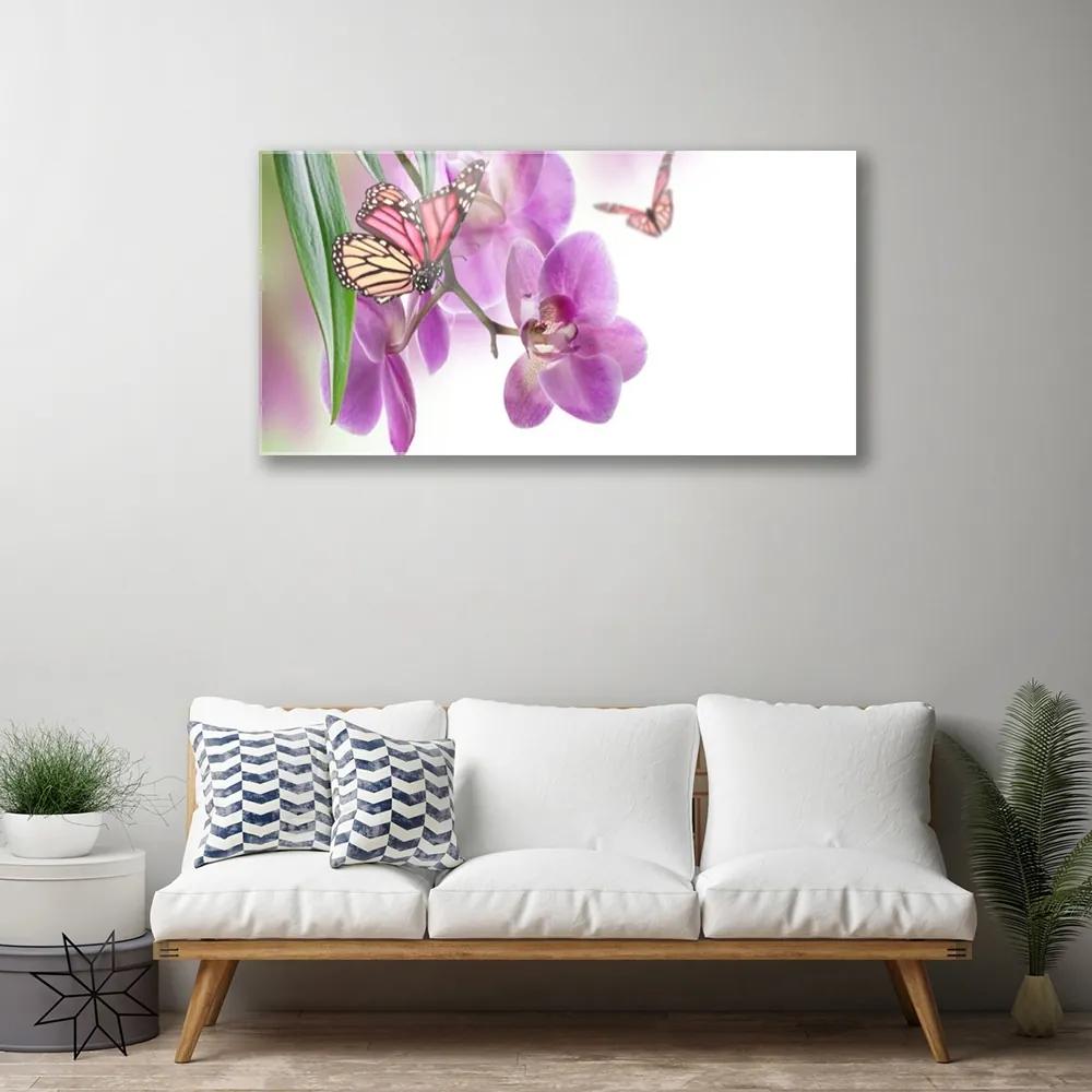 Obraz na skle Motýli Květiny Příroda 120x60 cm