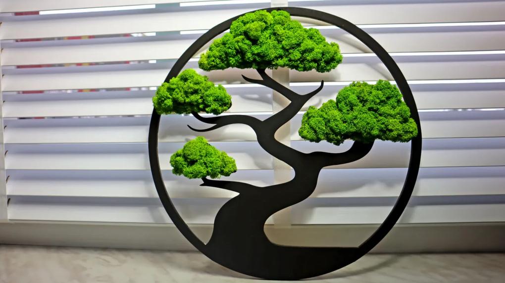OznTo Nástěnný strom ve tvaru bonsaje více druhů,3velikosti Barva mechu: světle zelený, Barva rámečku: Černá, Rozměr rámečku: Průměr 60cm