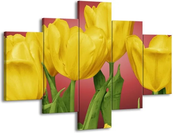 Žluté tulipány s lístky 100x70 cm