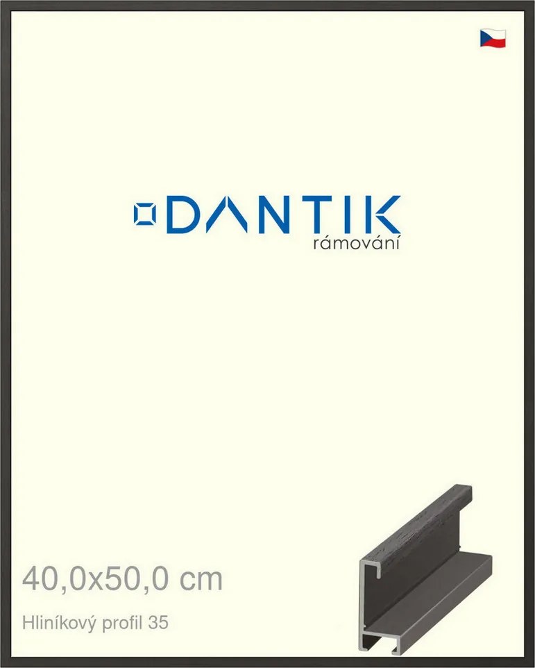 DANTIK rámeček 40x50 | ALU profil 6035 Dýha černá (Plexi Čiré)
