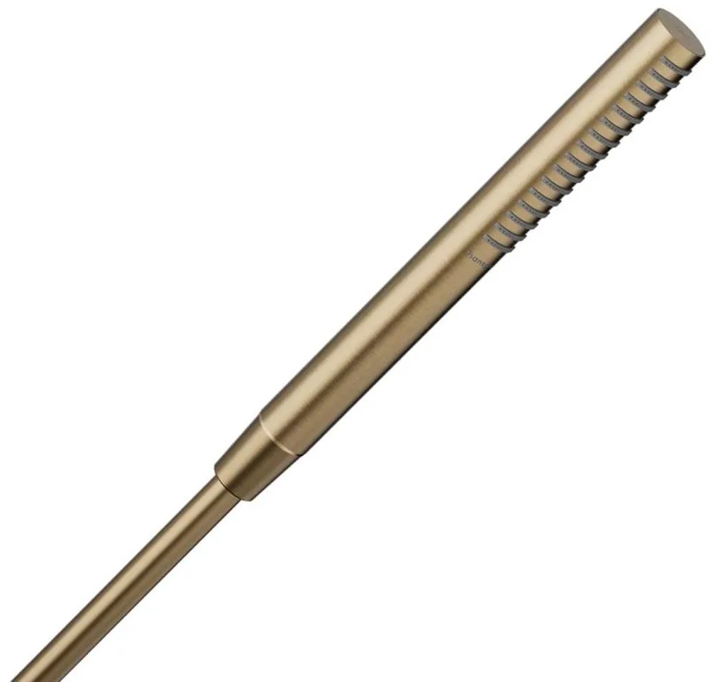 Hansgrohe Pulsify S - Sprchová hlavice, EcoSmart+, kartáčovaný bronz 24126140