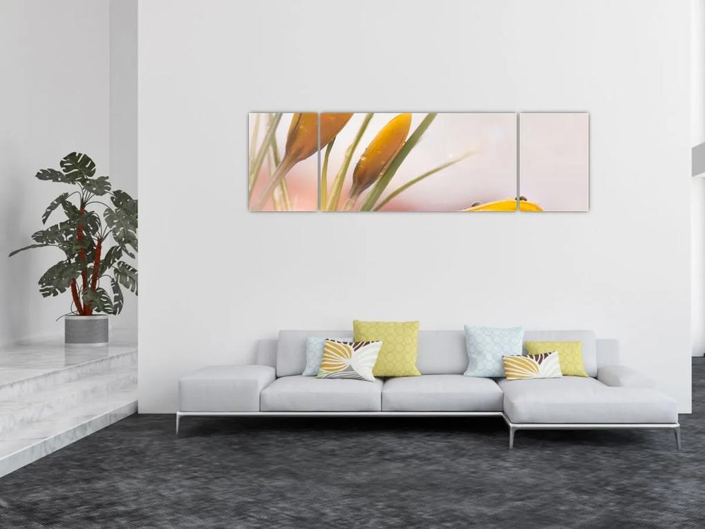 Obraz - Jarní květy (170x50 cm)