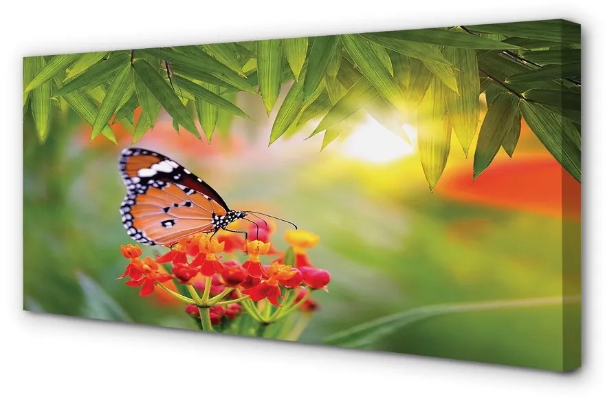 Obrazy na plátně Barevný motýl květiny 100x50cm